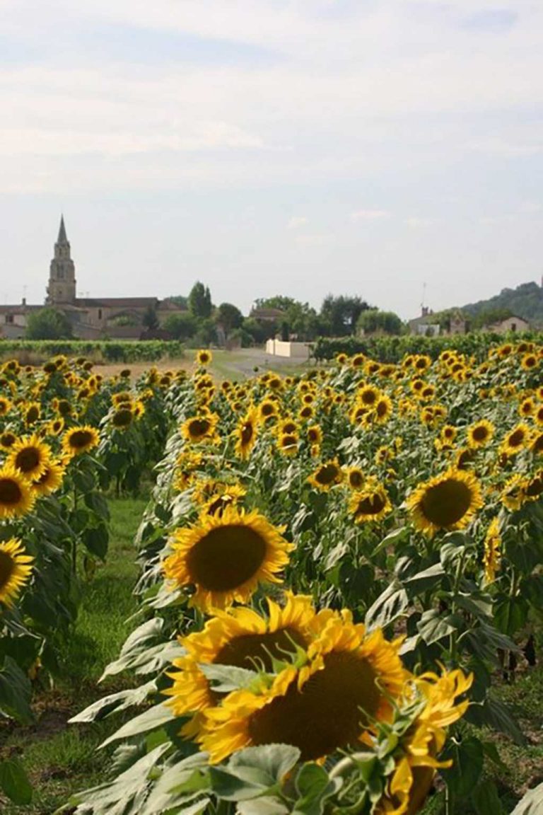 Notre commune - Commune de Saint-Maixant