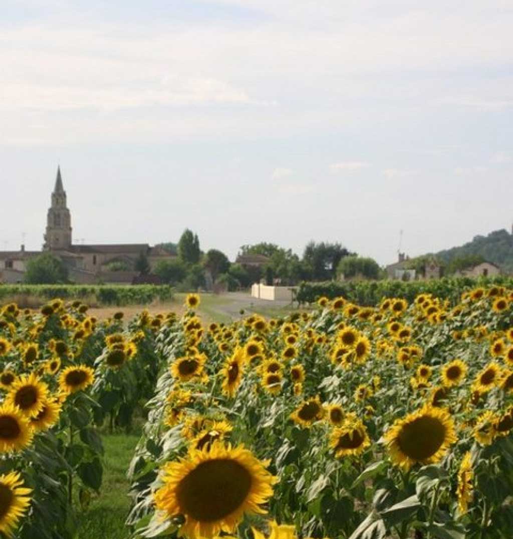 Saint-Maixant - Commune de Saint-Maixant